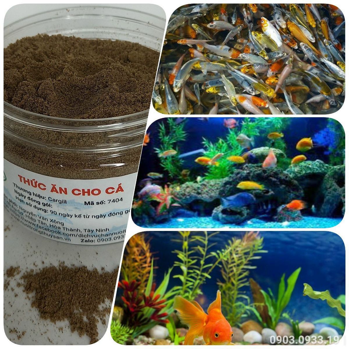 Thức ăn cá 42% đạm cao cấp cho cá giá sỉ, giá bán buôn - Thị Trường Sỉ