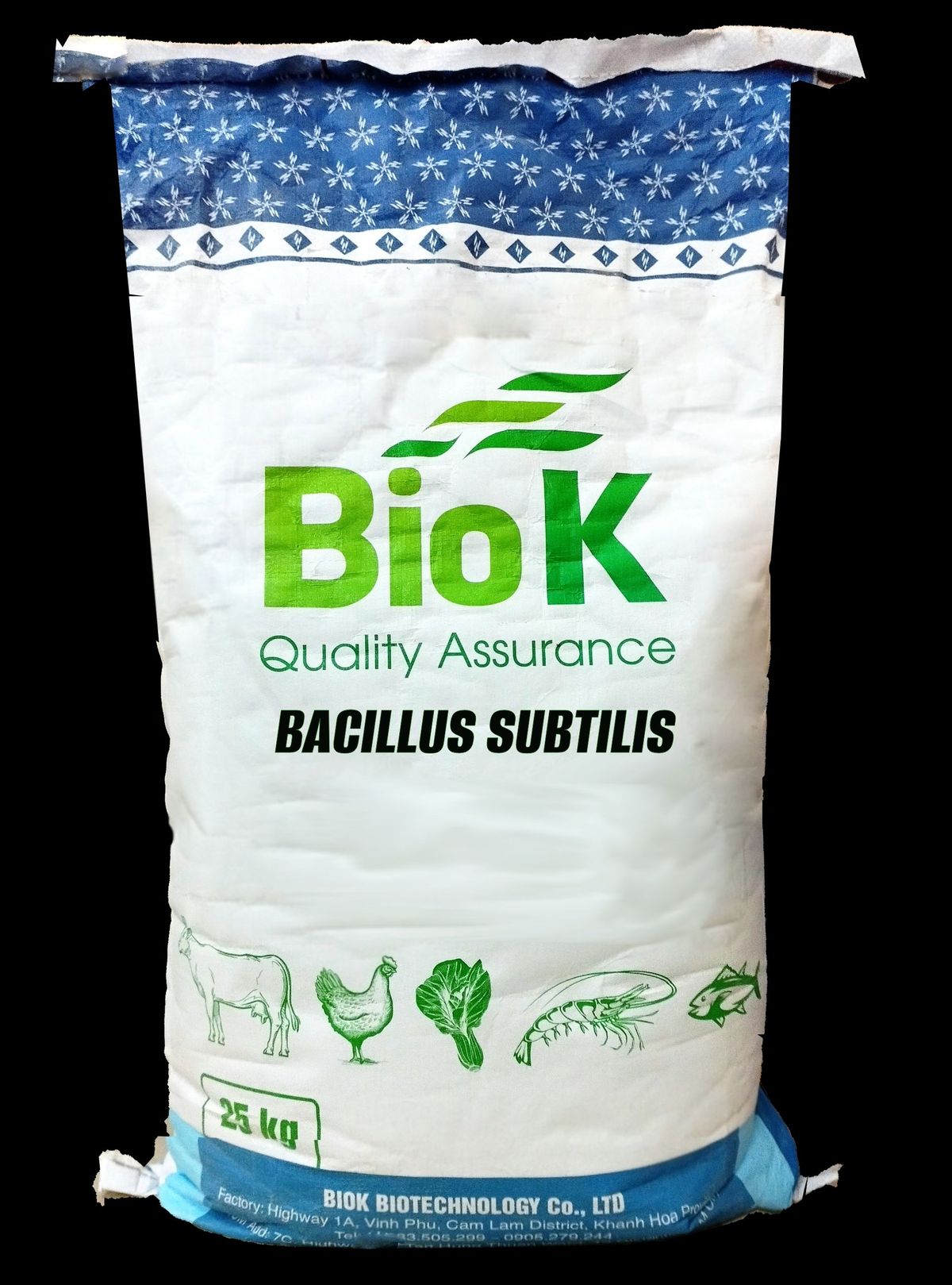 Bacillus subtilis: sản phẩm dùng trong thức ăn chăn nuôi và xử lý nước ...