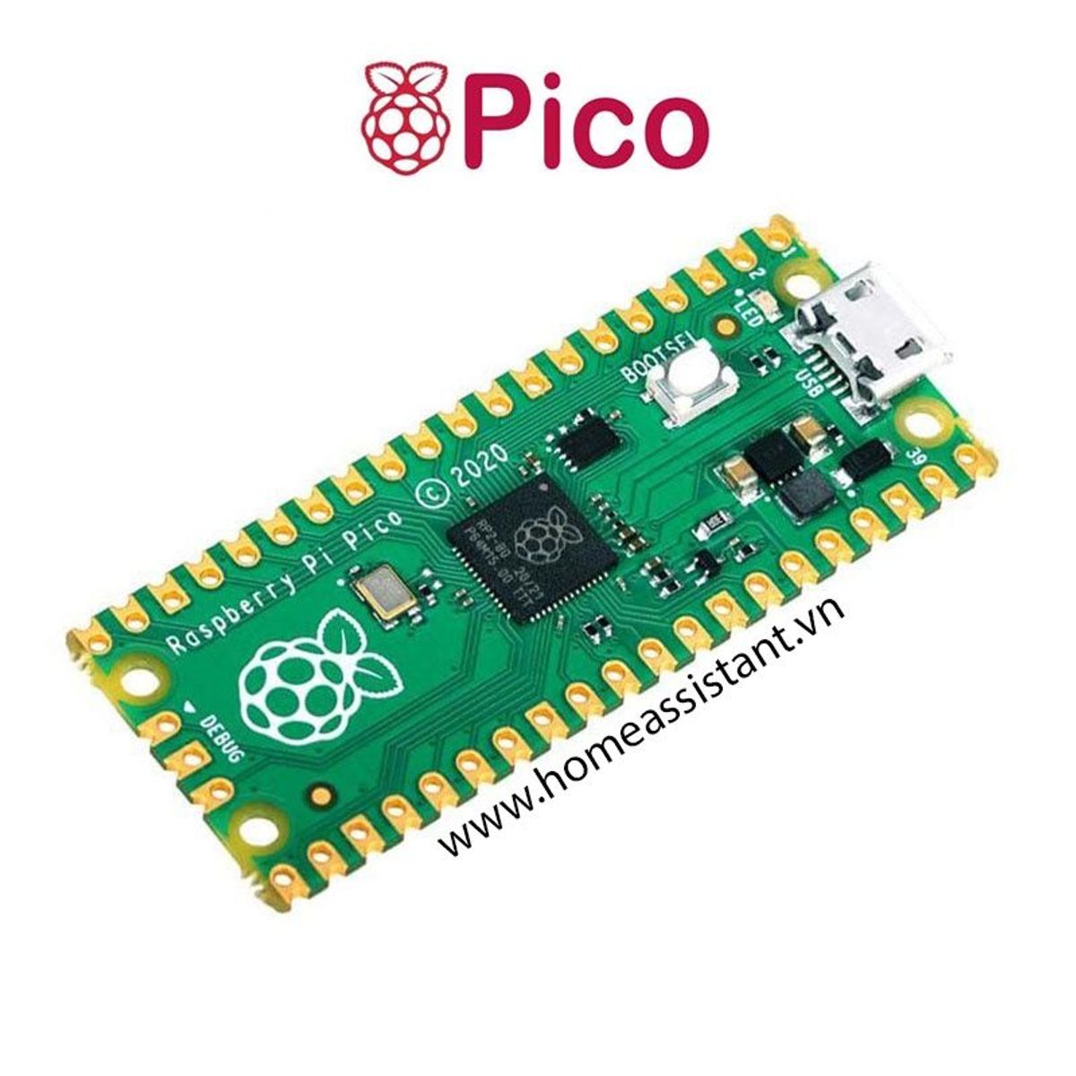 Bo Mạch Vi Điều Khiển Nhúng Raspberry Pi Pico RP2040 (Micro Python) giá ...