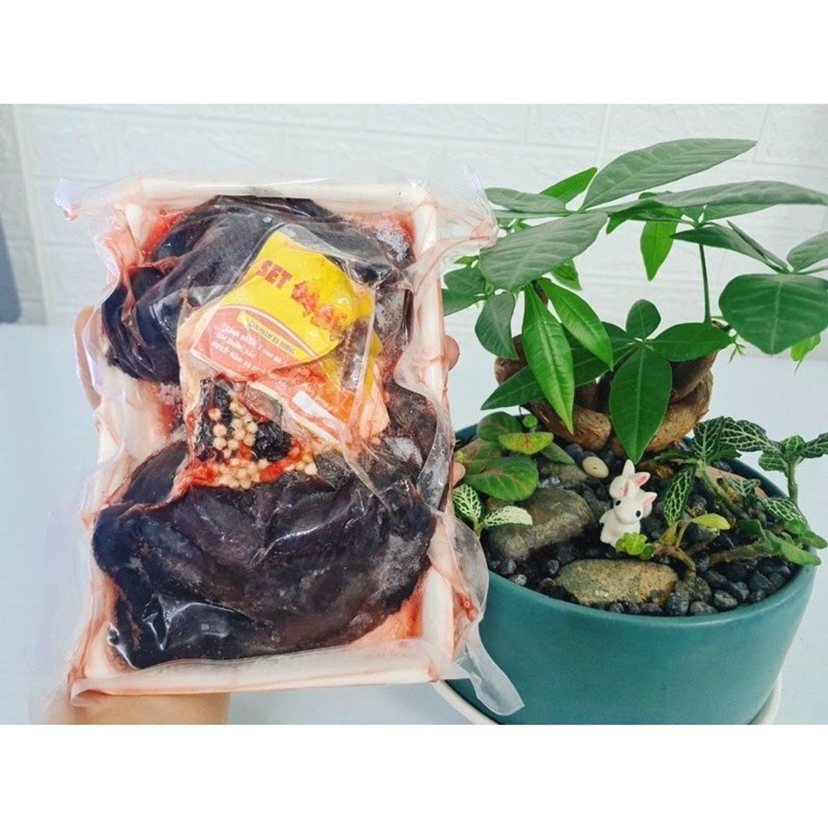 Mua Gà ác tiềm thuoc bac set 2 con như hình (giao hoả tốc tphcm) Chất ...