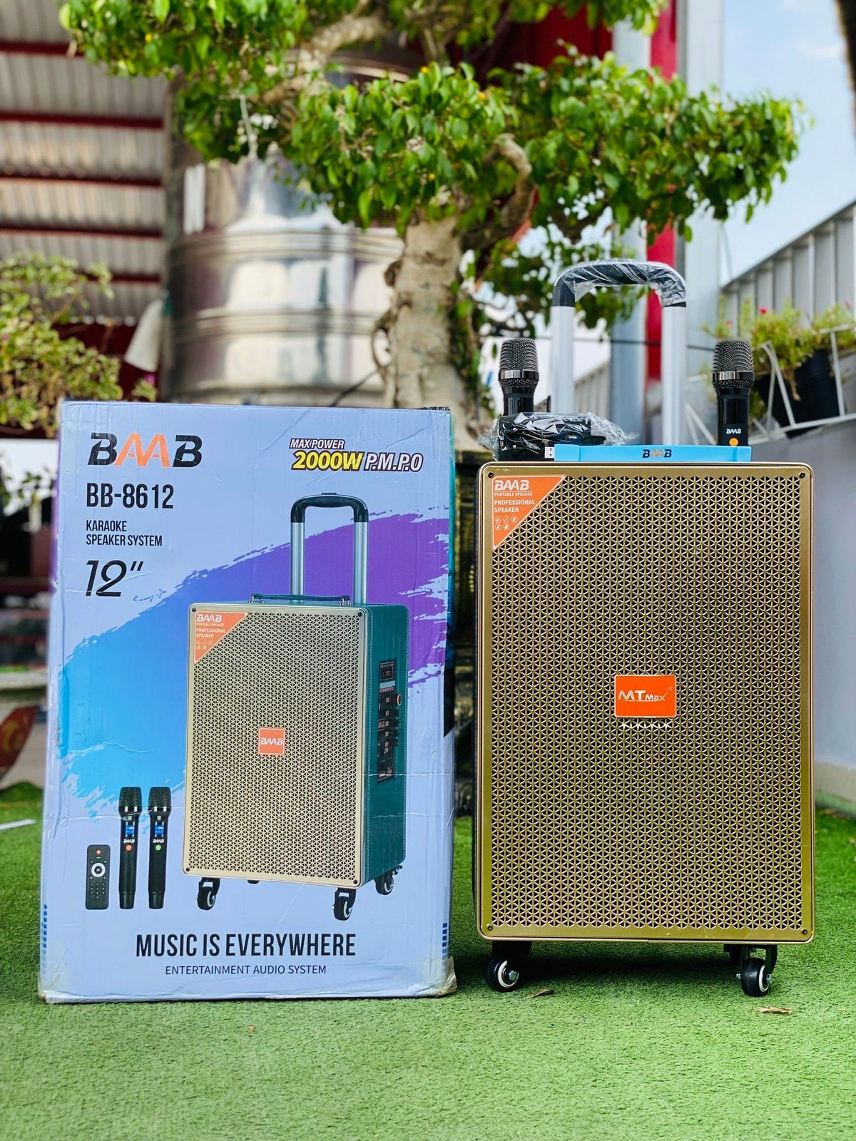 Loa Kéo Karaoke Di Động BB8612 Bass30 Công Suất 300W Chỉnh Bass Treble Echo Kèm 2 Micro Hát Nhẹ ...