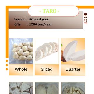 KHOAI MÔN ĐÔNG LẠNH / IQF TARO IQF, FROZEN TARO FROZEN TO EXPORT FROM ...