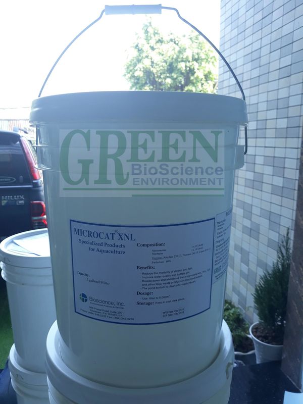 Khử Khí Độc NO2 Trong Ao Nuôi Tôm MICROCAT XNL giá sỉ, giá bán buôn - Thị Trường Sỉ