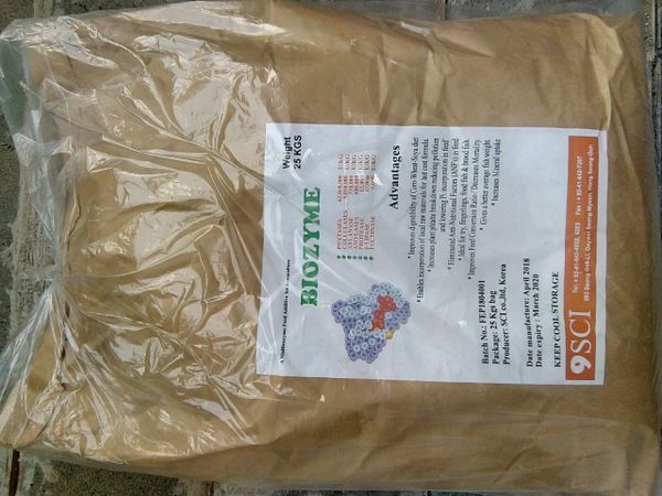 Cung cấp Biozyme nguyên liệu enzyme tiêu hóa tăng trọng giá sỉ giá sỉ ...