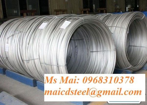 Thép Dây Inox SUS304 Gía Sỉ giá sỉ, giá bán buôn - Thị Trường Sỉ