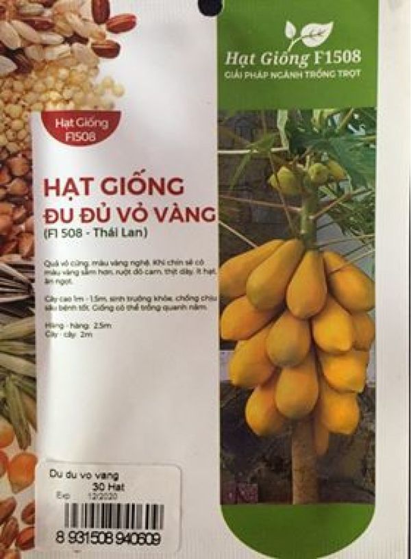 Hạt giống đu đủ vỏ vàng F1508 hàng Công Ty giá sỉ, giá bán buôn - Thị Trường Sỉ