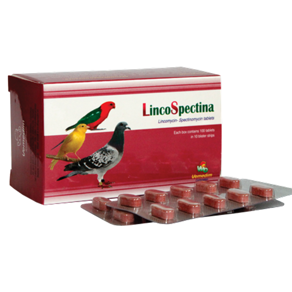 50 Viên Vemedim Linco Spectina Thuốc đặc trị hô hấp, viêm ruột, tiêu chảy cho chó mèo chim cảnh ...