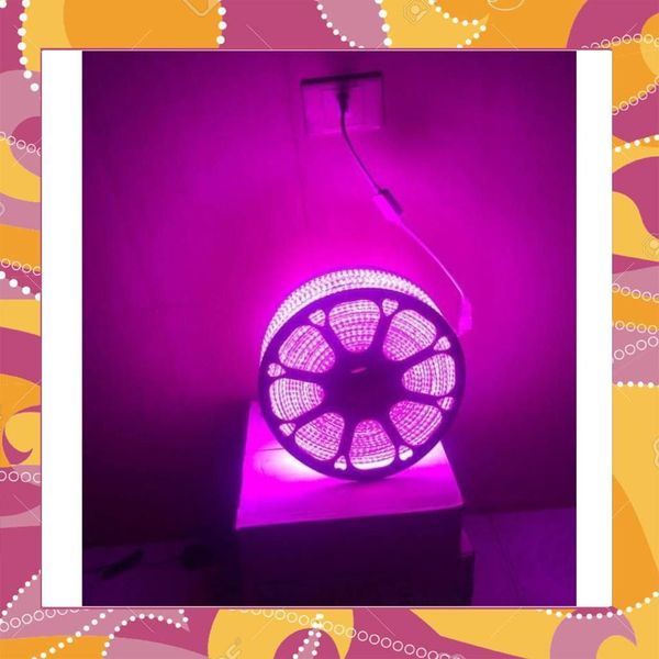 DÂY ĐÈN LED MÀU HỒNG 10M giá sỉ, giá bán buôn - Thị Trường Sỉ
