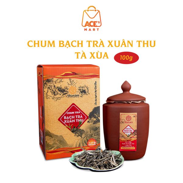 Chum Bạch trà Xuân Thu từ cây chè Shan Tuyết Cổ Thụ Tà Xùa 100g, lên ...