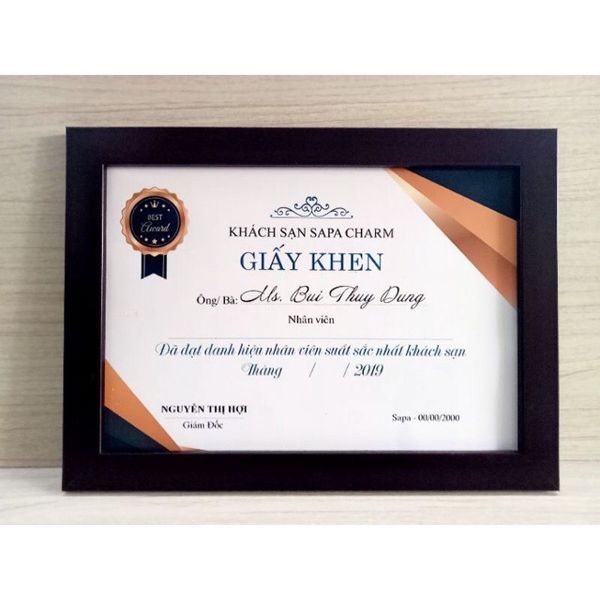 Khung bằng khen/ khung treo tường/ để bàn kích thươc 20x30 giá sỉ, giá bán buôn - Thị Trường Sỉ