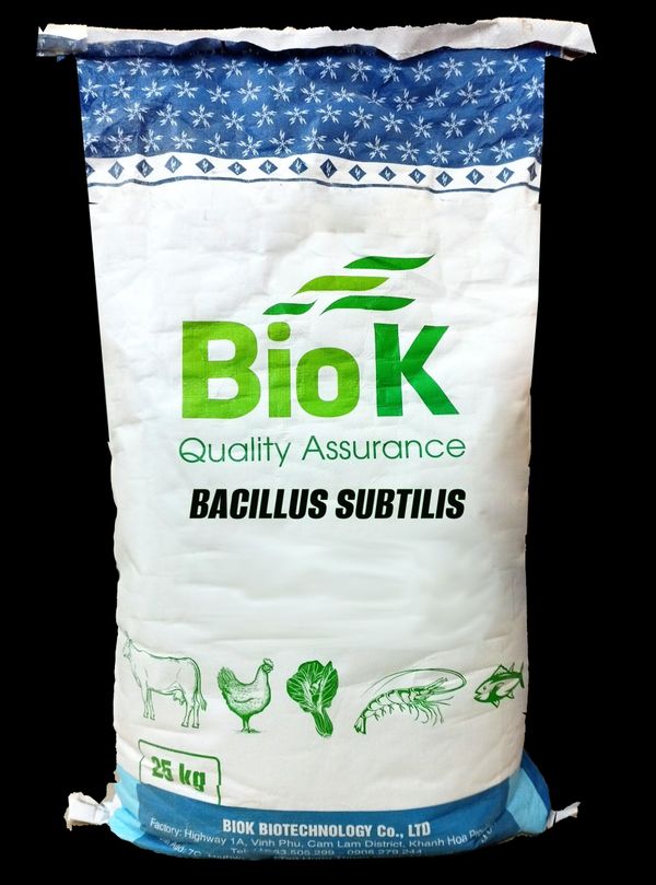Bacillus subtilis: sản phẩm dùng trong thức ăn chăn nuôi và xử lý nước ...