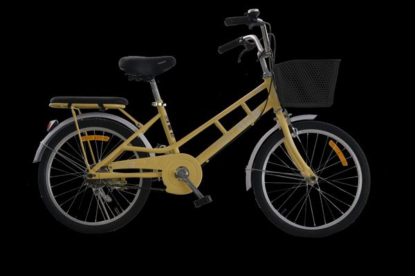 Xe đạp đường phố Swat SW-20 giá sỉ, giá bán buôn - Thị Trường Sỉ