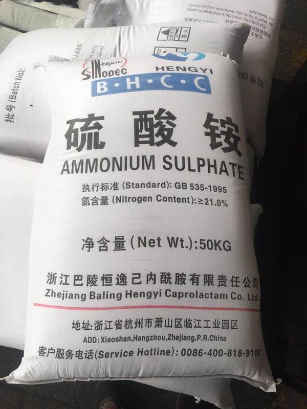 🍚 Hàng SA Capro Hengyi hạt trung, cánh bột ngọt trắng đẹp giá sỉ, giá ...