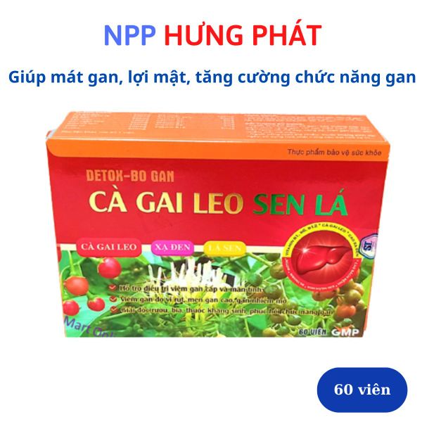 Bổ gan Dettox cà gai leo tăng cường chức năng gan - HỘP 60 viên giá sỉ ...