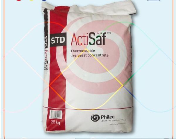 Actisaf – Nấm men đường ruột đậm đặc phòng ngừa phân trắng giá sỉ, giá ...