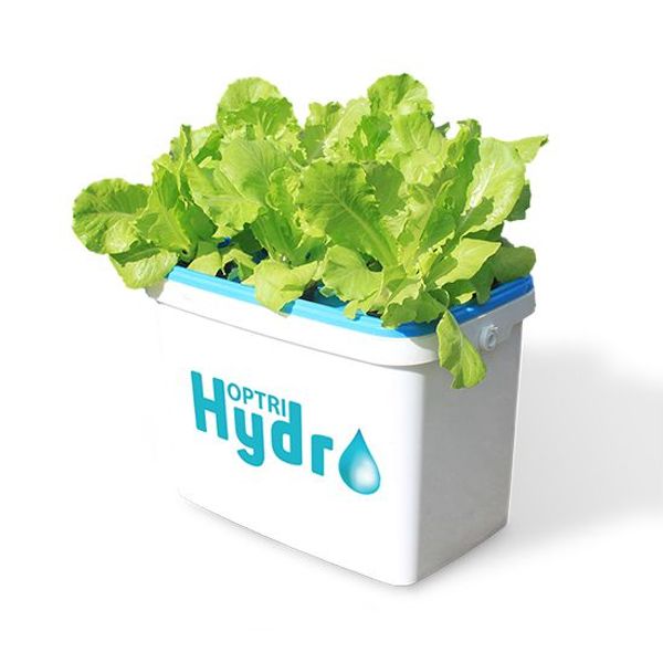 Bộ 10 Thùng Trồng Thủy Canh Rau Ăn Lá Growbox Leafy Kit 10 giá sỉ, giá ...