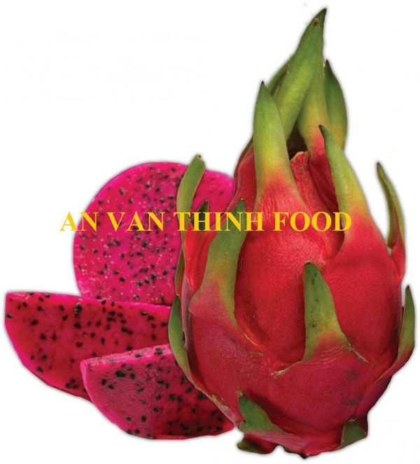 THANH LONG ĐỎ ĐÔNG LẠNH IQF RED DRAGON FRUIT FROZEN RED DRAGON FRUIT ...