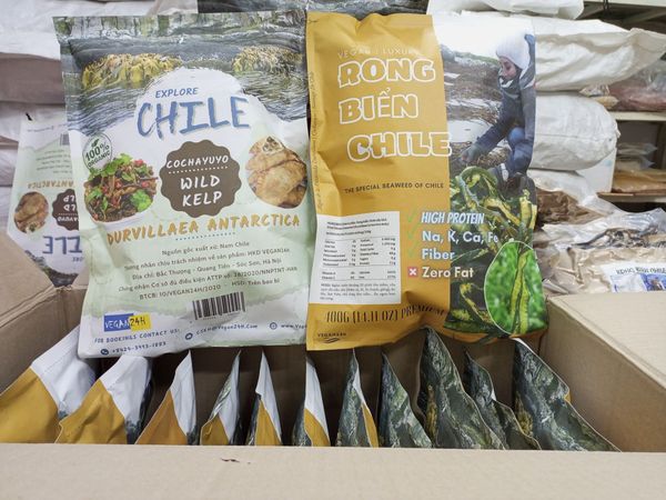 Tảo xoắn chi lê - Rong biển Chile - tảo ống giá sỉ, giá bán buôn - Thị ...