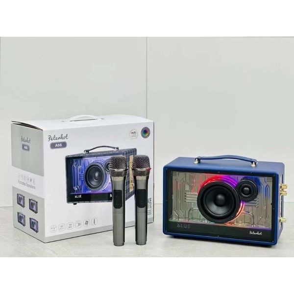 Loa Bluetooth Peterhot A66 (2 míc ko dây ) giá sỉ, giá bán buôn - Thị Trường Sỉ