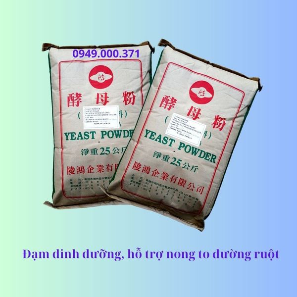 YEAST POWDER - Đạm bổ sung dưỡng chất hỗ trợ phục hồi sau điều trị ...