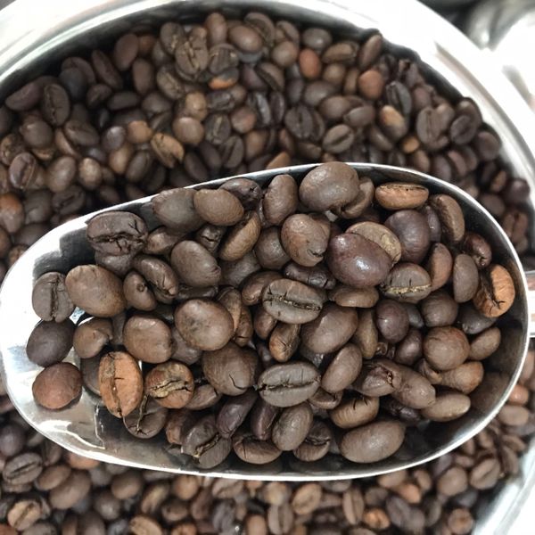 Cà Phê Robusta ( Washed ) giá sỉ, giá bán buôn - Thị Trường Sỉ