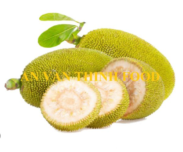 MÍT NON ĐÔNG LẠNH, IQF YOUNG JACKFRUIT IQF, FROZEN YOUNG JACKFRUIT FROZEN, IQF GREEN JACKFRUIT ...