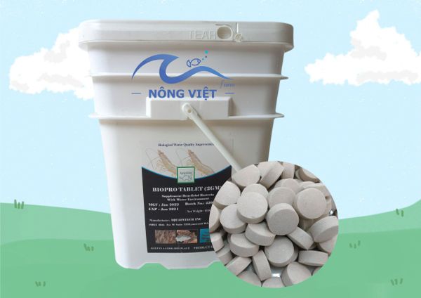 BIOPRO TABLET - Vi sinh xử lý nước ao, tạo màu nước đẹp giá sỉ, giá bán ...