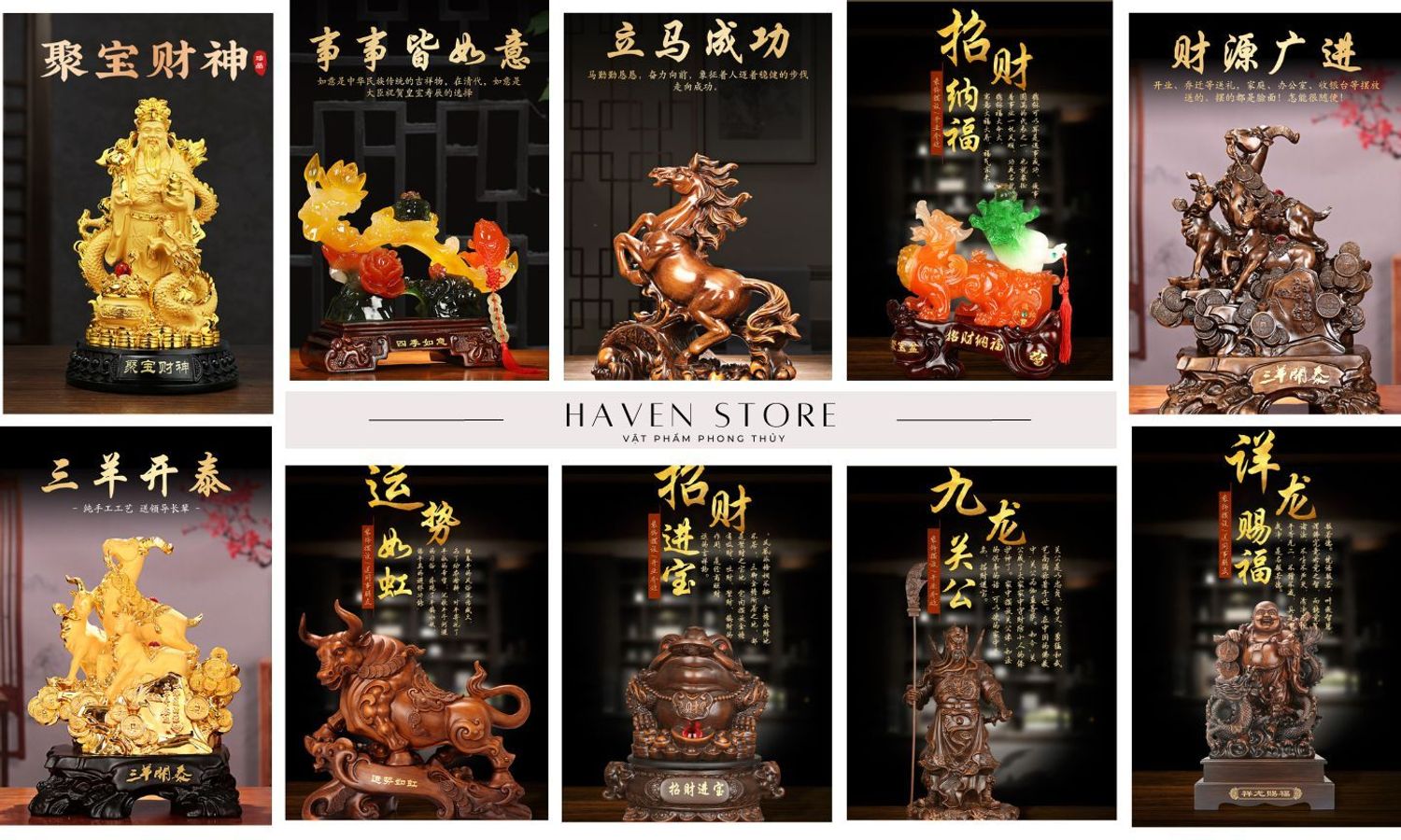 Haven Store - Thị Trường Sỉ